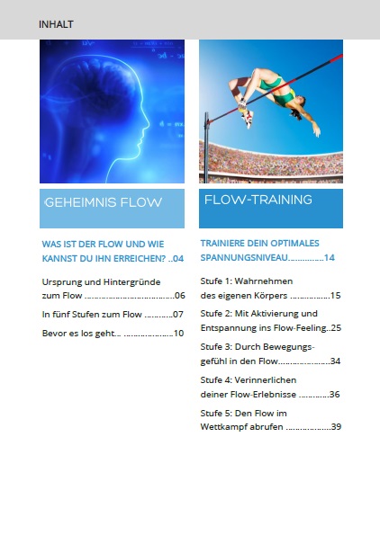 Flow-Book - Flow Champions - Weltklasse im Flow