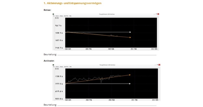 flow-training-biofeedback-grafik-v2 - Flow Champions - Weltklasse im Flow